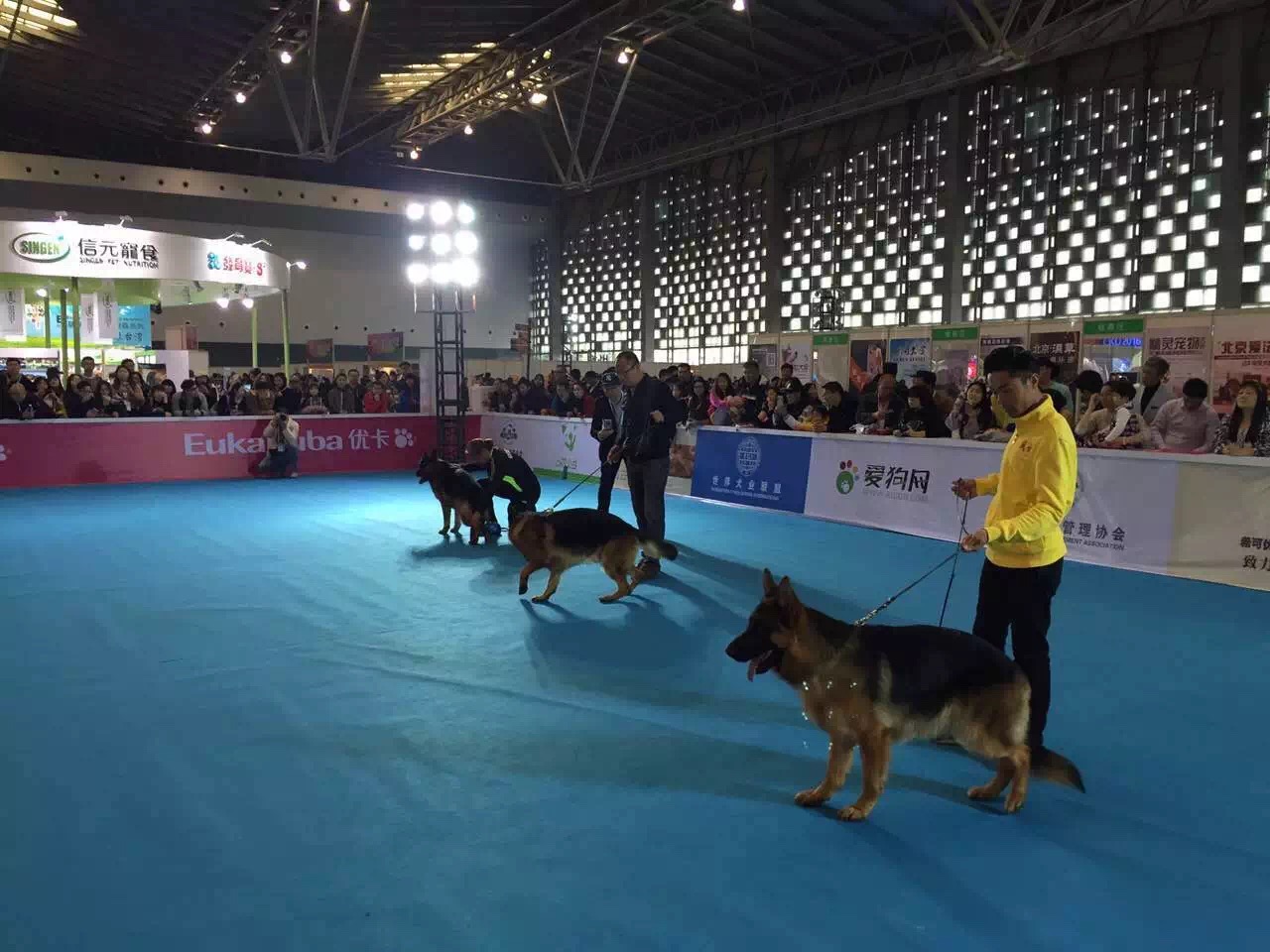 CKU*2016年上海国际宠博会活动报道