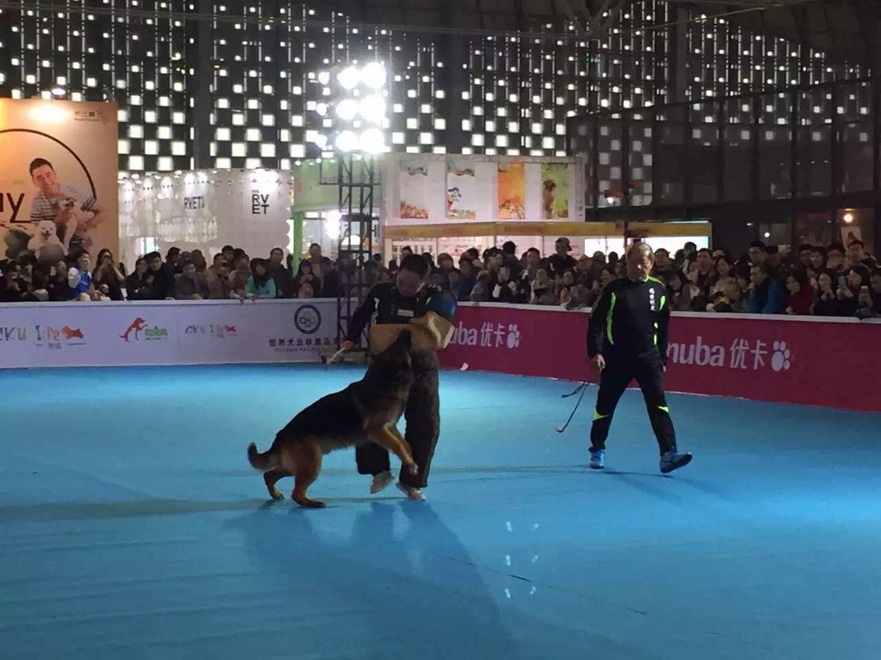 CKU*2016年上海国际宠博会活动报道